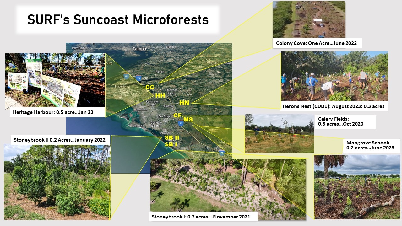 SURF MICROFORESTS – LET’S SAVE THE WORLD TOGETHER